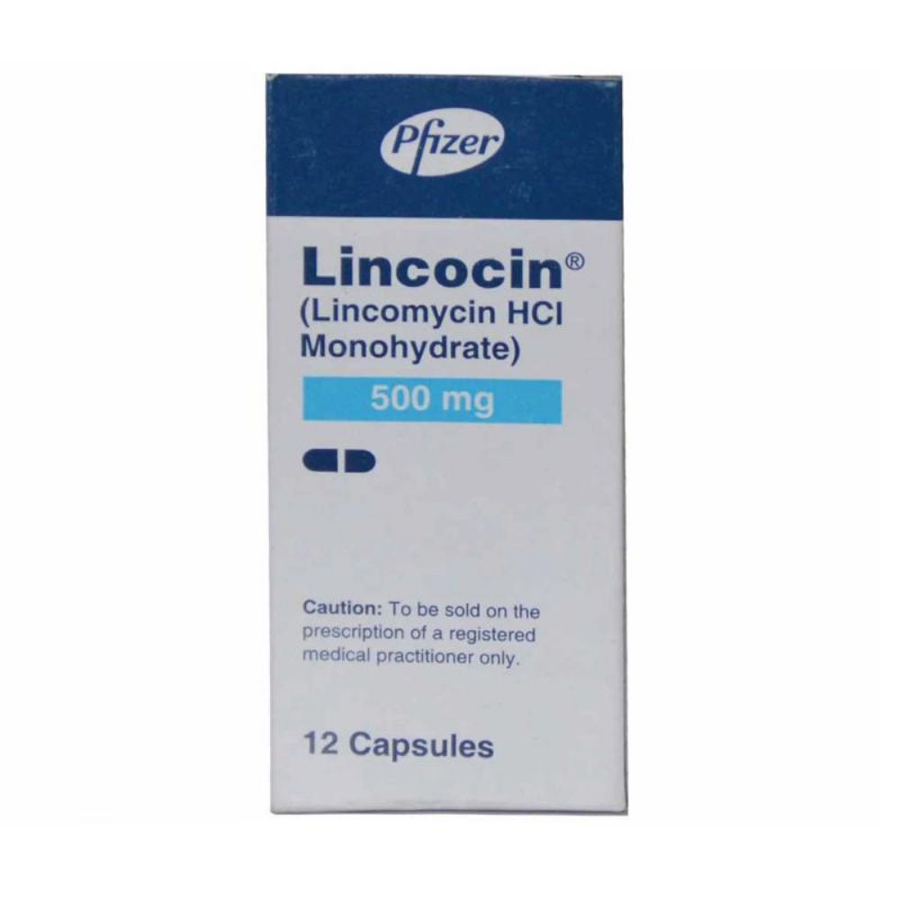 Lincocin Cap 500mg 12's – Ailaaj