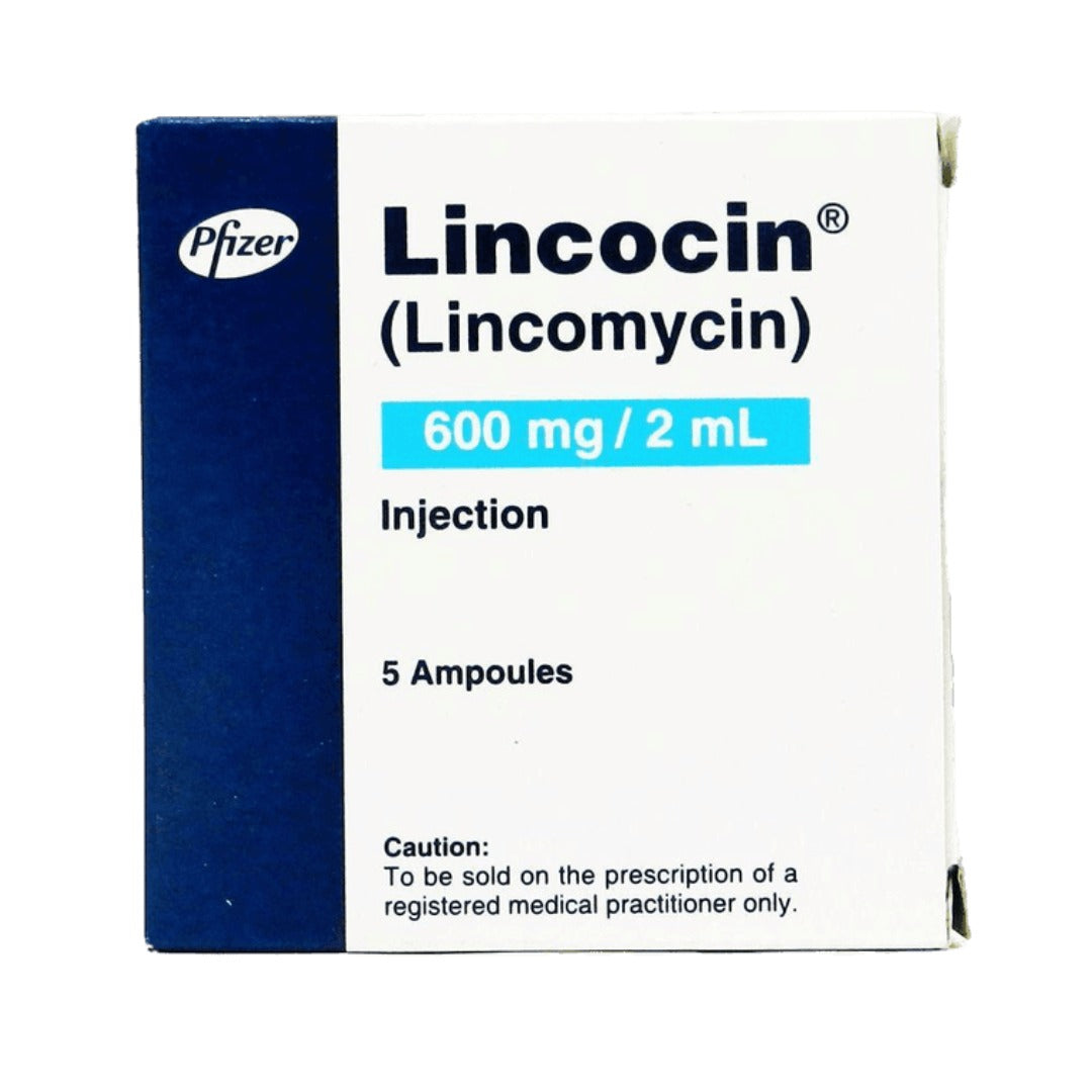 Lincocin Inj 600mg 5Ampx2ml – Ailaaj